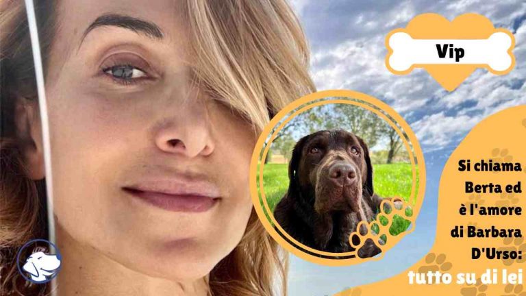 Chi è il vero amore di Barbara D'Urso? Si chiama Berta e ha 4 zampe ...