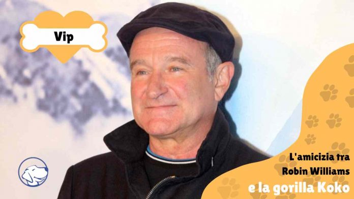 Quando Robin Williams conobbe la gorilla Koko. Quello che è successo ...